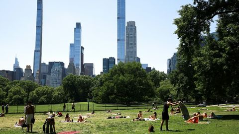 New York Zeigt Finale Von Fu ball WM Im Central Park STERN de new-york-zeigt-finale-von-fu-ball-wm-im-central-park-stern-de
