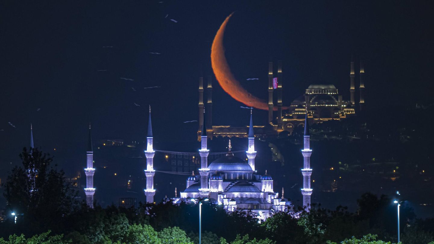 Bilder des Tages: Die besten Fotos aus der ganzen Welt | STERN.de