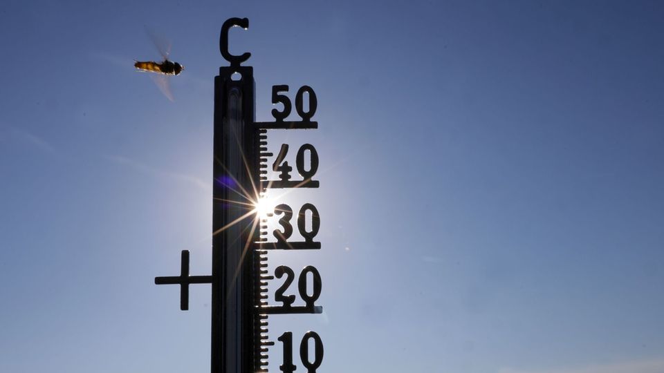 Wetter: Hitze in Deutschland - Am Freitag könnte ein Rekord fallen ...