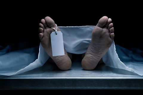 Kannibalismus in Ungarn: Leichenteile gesammelt und gegessen | STERN.de
