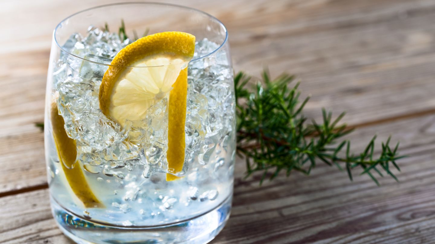 Gin: So machen Sie ihn selbst | STERN.de
