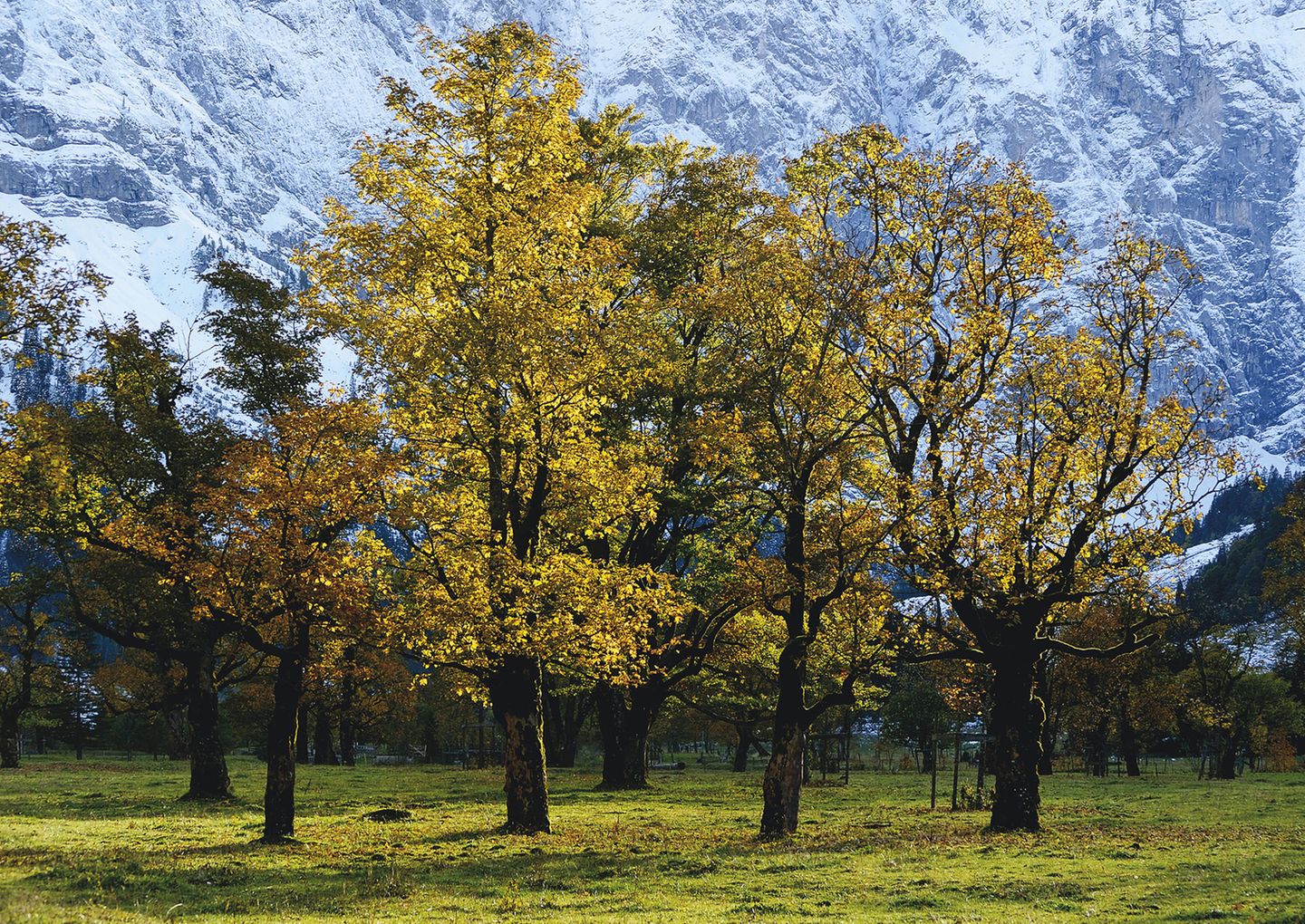 Karwendel: Vom Zauber der wilden Berge | STERN.de