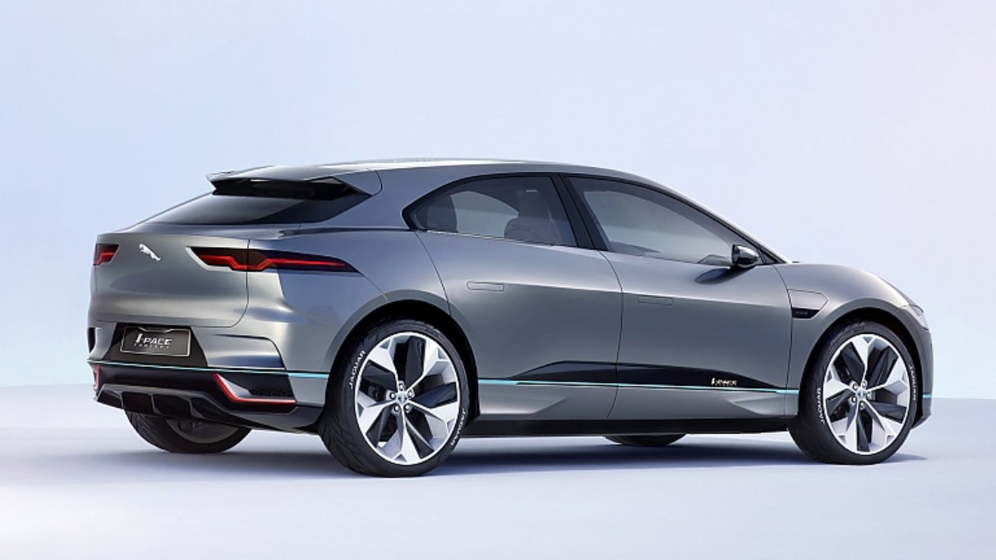 Star of Show | STERN.de