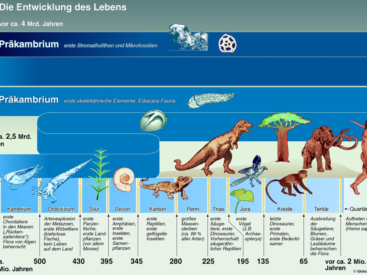 Zeitleiste Der Menschlichen Fossilienfunde Känozoikum III