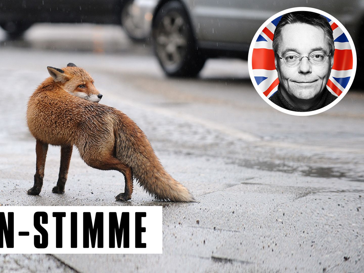 Bekiffter Fuchs Meme