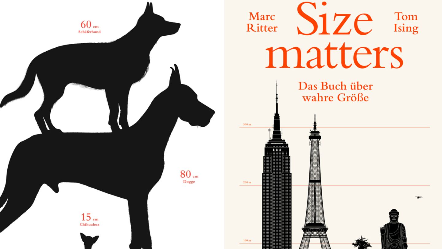 "Size Matters": Hier kommt es eben doch auf die Größe an | STERN.de