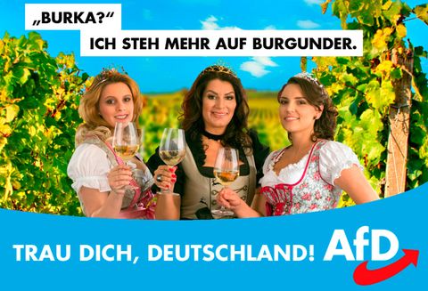 AfD-Wahlkampagne entzweit die Partei | STERN.de