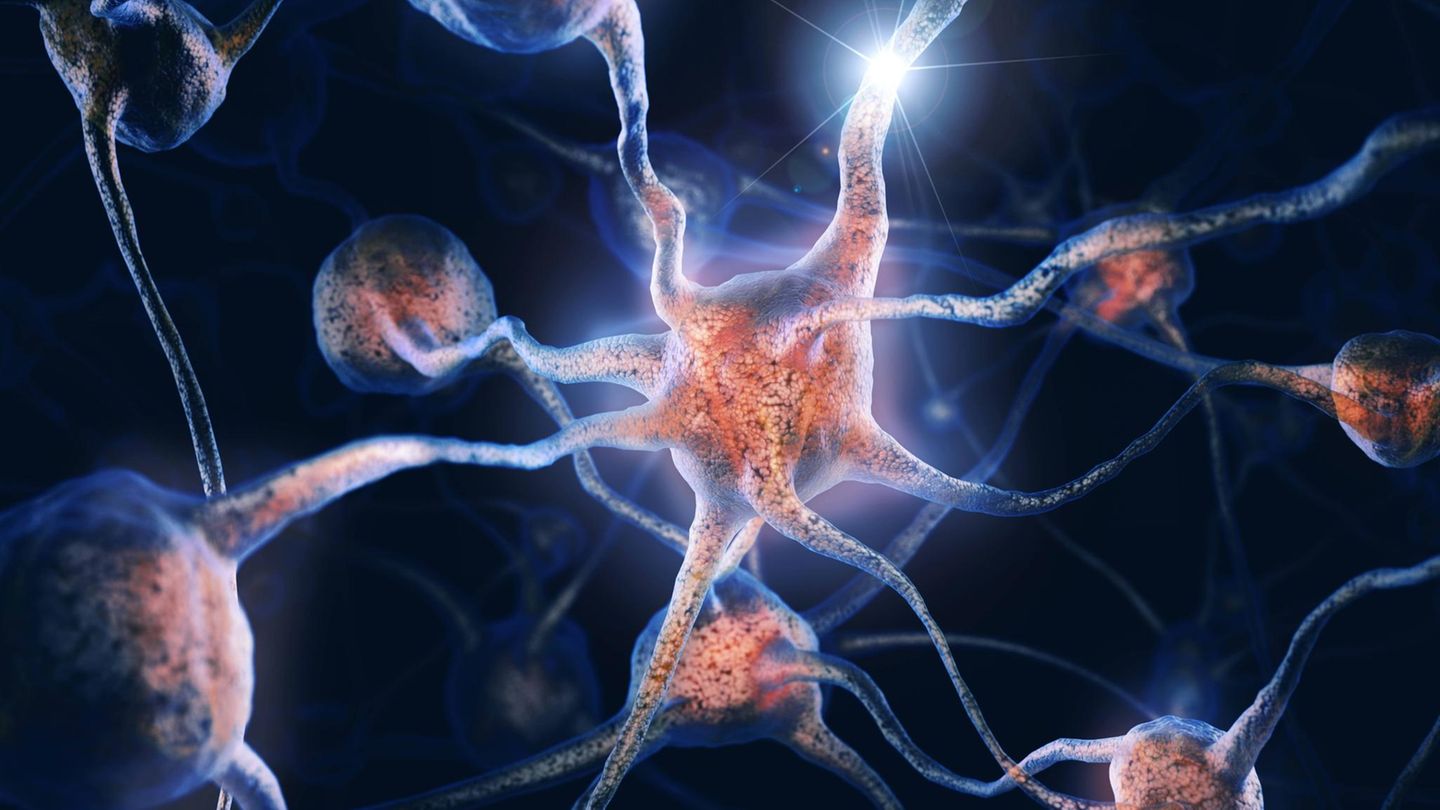 Demenz: Diese neun Faktoren erhöhen das Risiko, dement zu werden | STERN.de