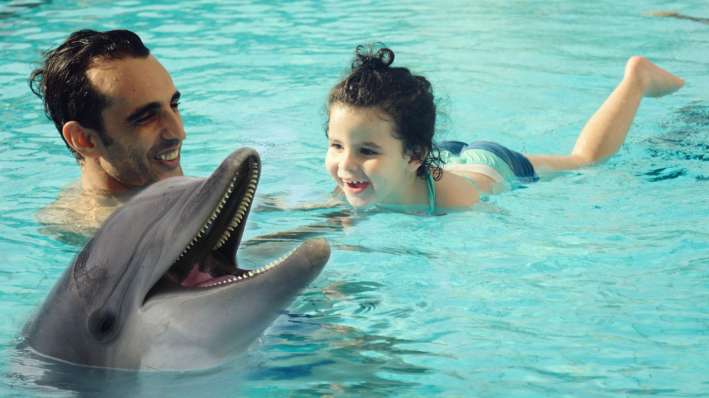 Tierische Freunde: Diese Säugetiere haben eine besondere Verbindung zu ...