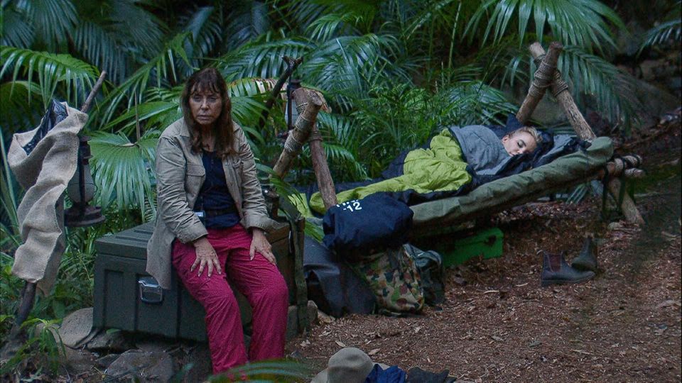 Dschungelcamp 2018: Tina York ist die Anti-Trash-Formel des Camps ...