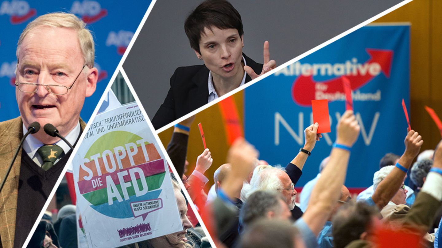 Fünf Jahre AfD - eine Erfolgsgeschichte? | STERN.de