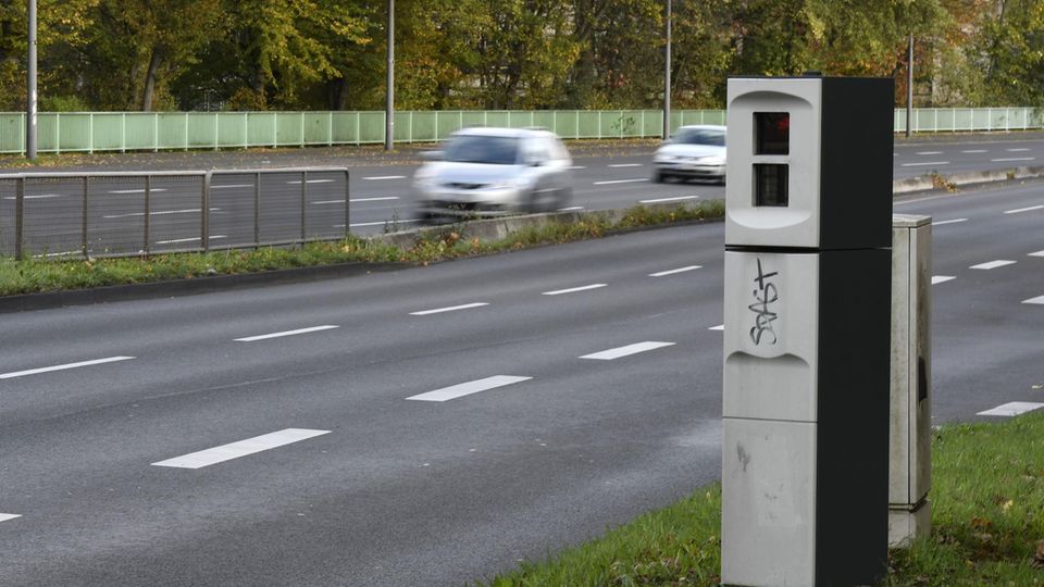 News: Unbekannte pflanzen zwei Meter hohen Baum vor Radarfalle | STERN.de