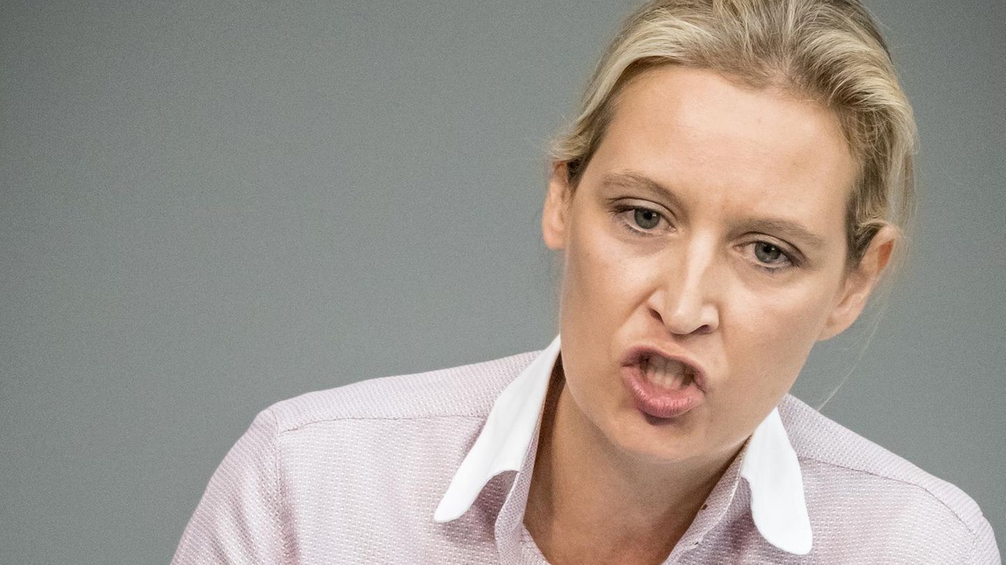 AfD-Fraktionschefin Weidel wettert gegen Steuerpolitik der GroKo | STERN.de