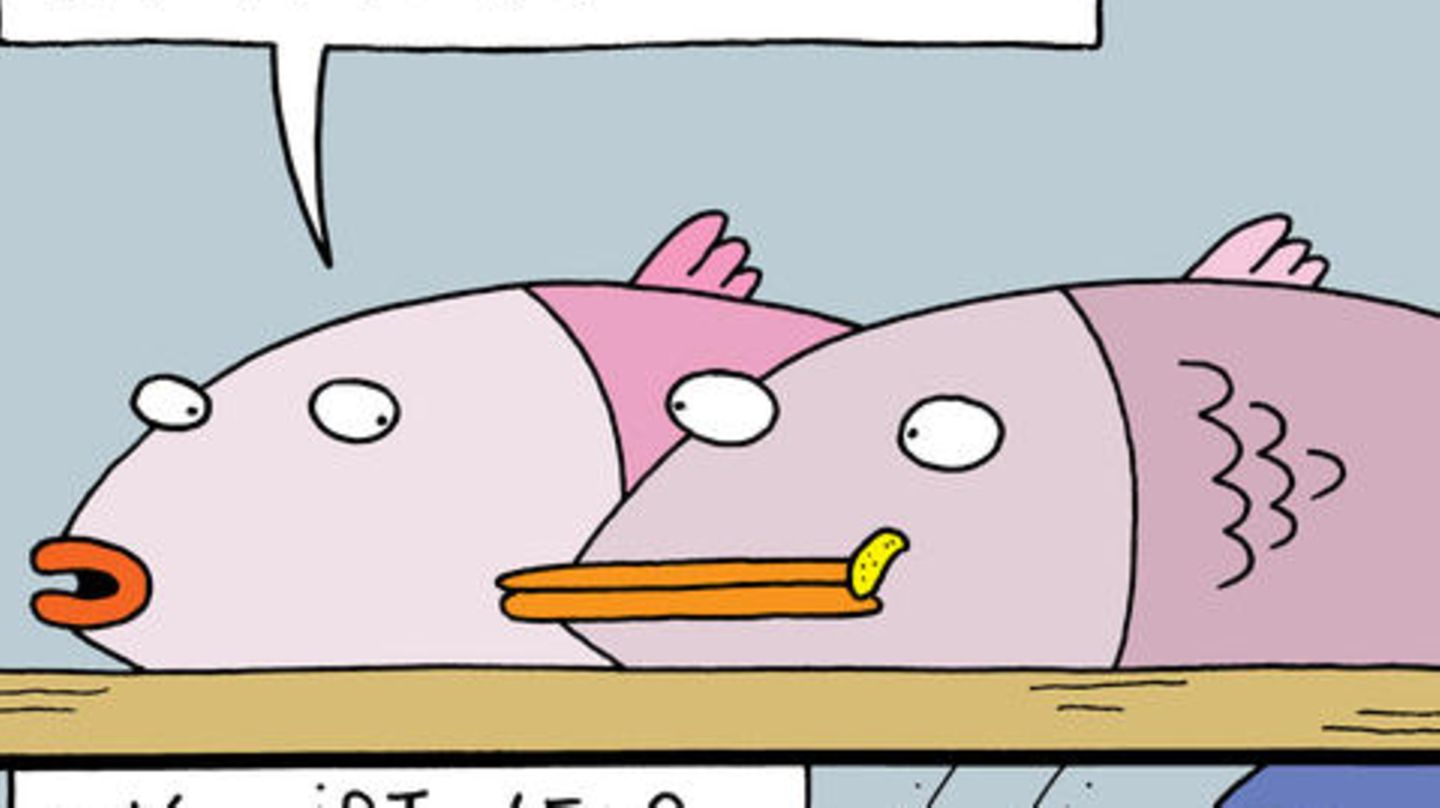Cartoons von Martin Zak | STERN.de