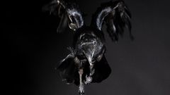 Nachrichten, Hintergründe & Reportagen | STERN.de