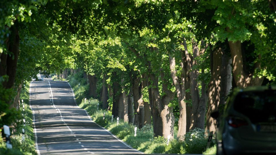Deutschlands Traumstraßen zwischen Ostsee und den Alpen | STERN.de