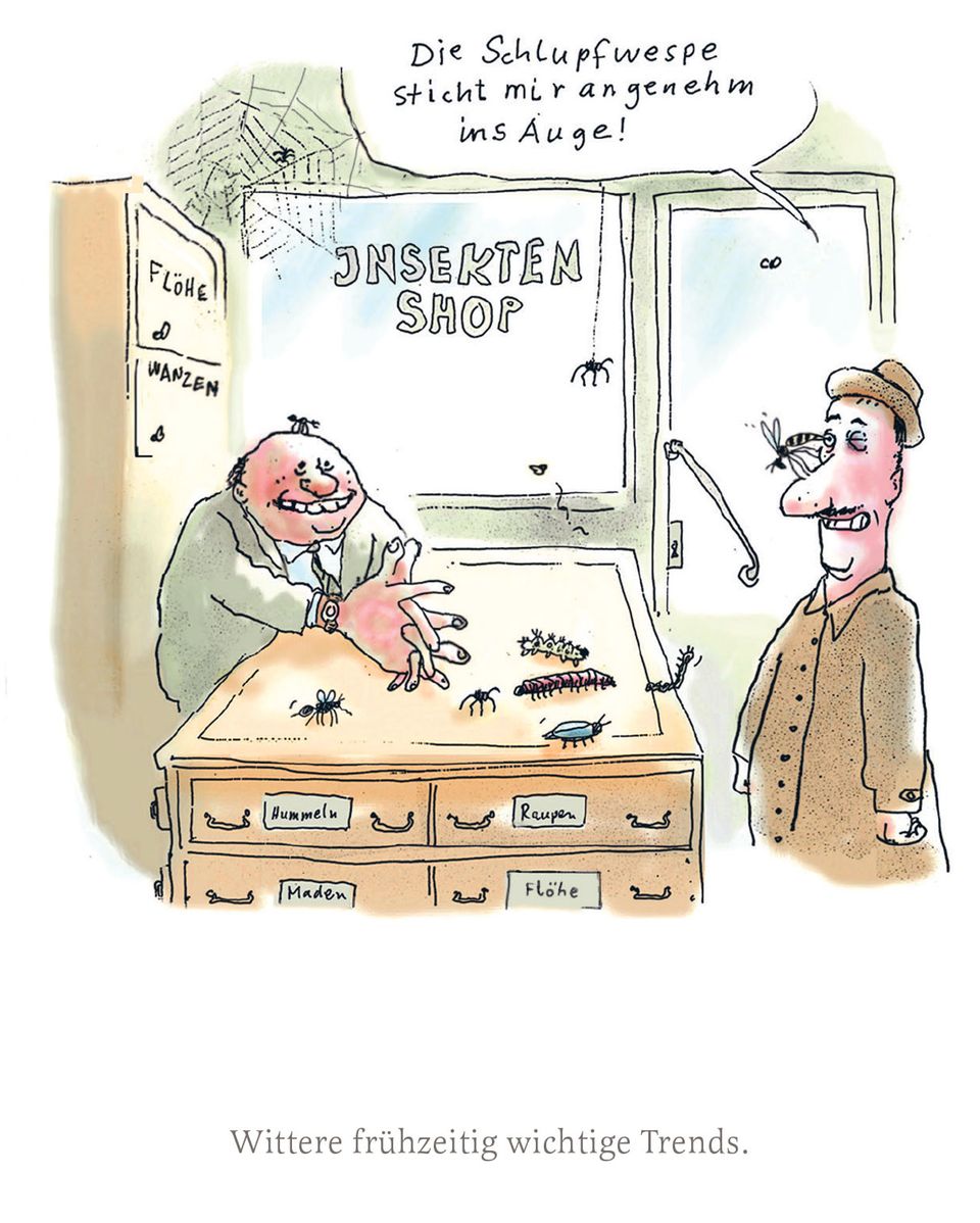 Cartoon von Rudi Hurzlmeier: Steinreich werden? So geht's! | STERN.de