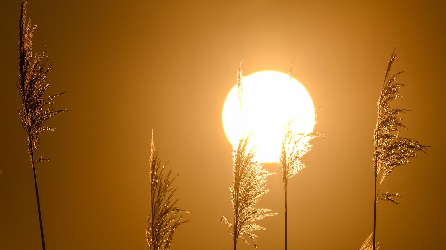 So unterschiedlich lang sind die Tage in Deutschland | STERN.de