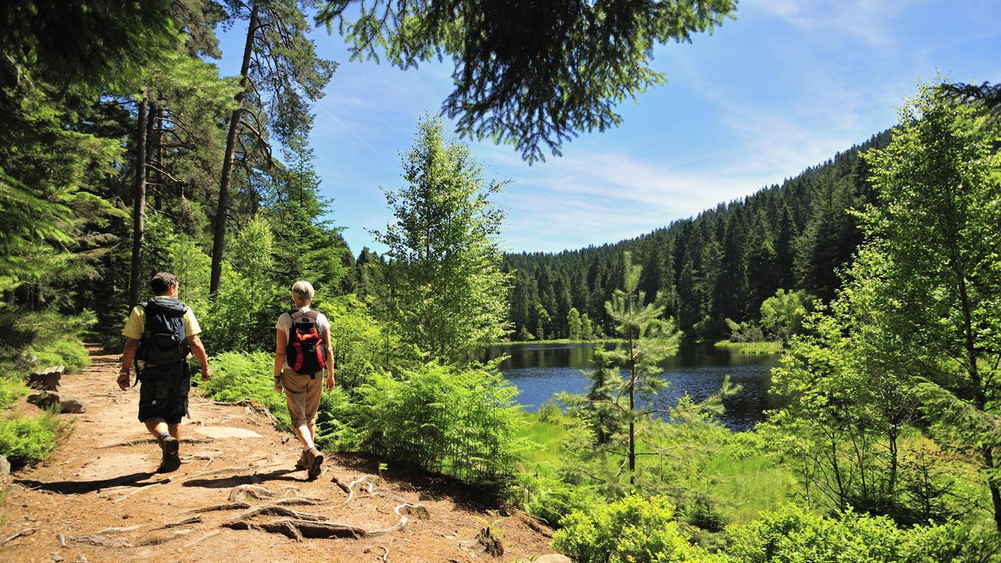 Top Trails of Germany: Das sind Deutschlands schönste Fernwanderwege ...
