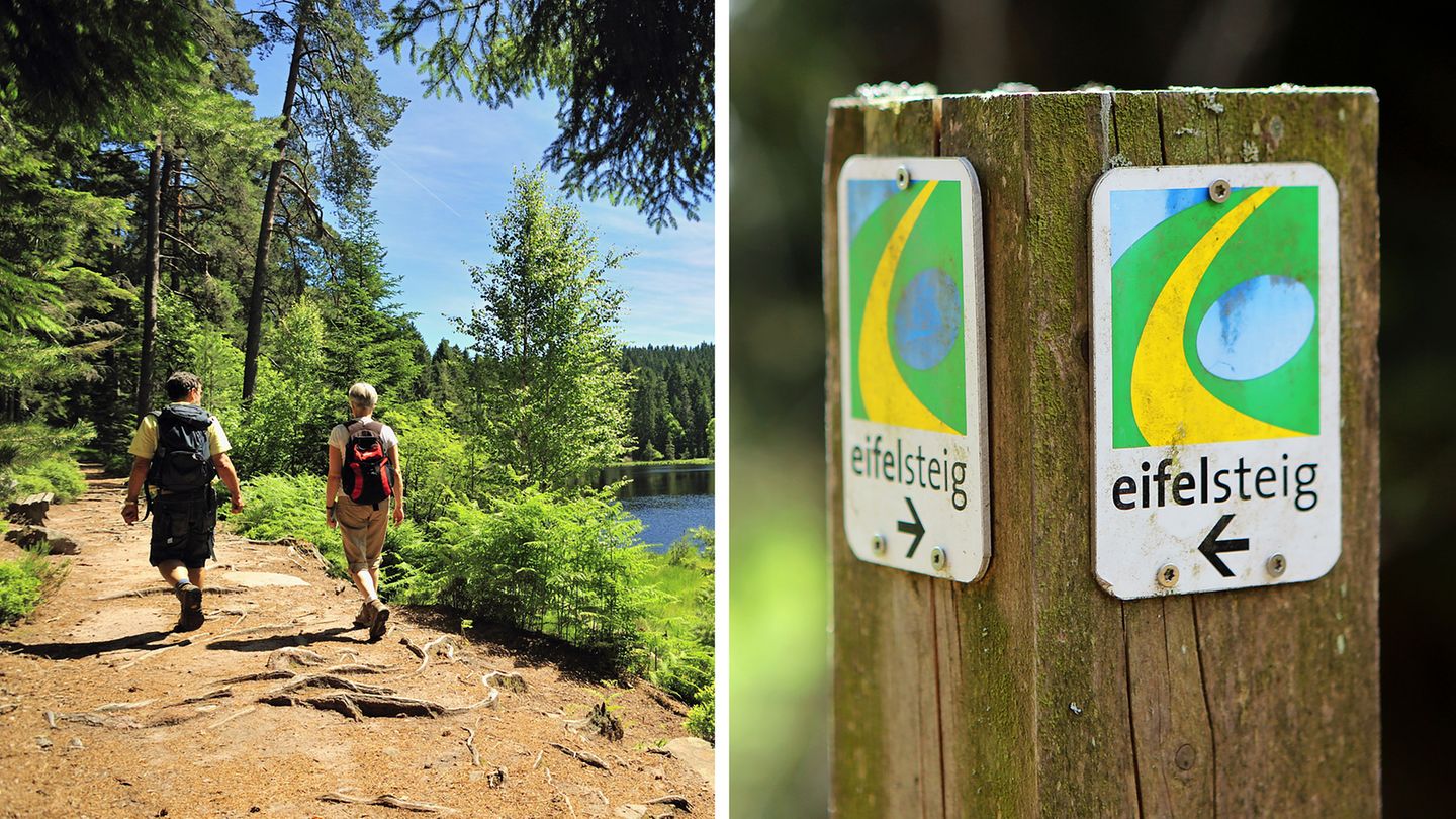 Top Trails of Germany: Das sind Deutschlands schönste Fernwanderwege ...