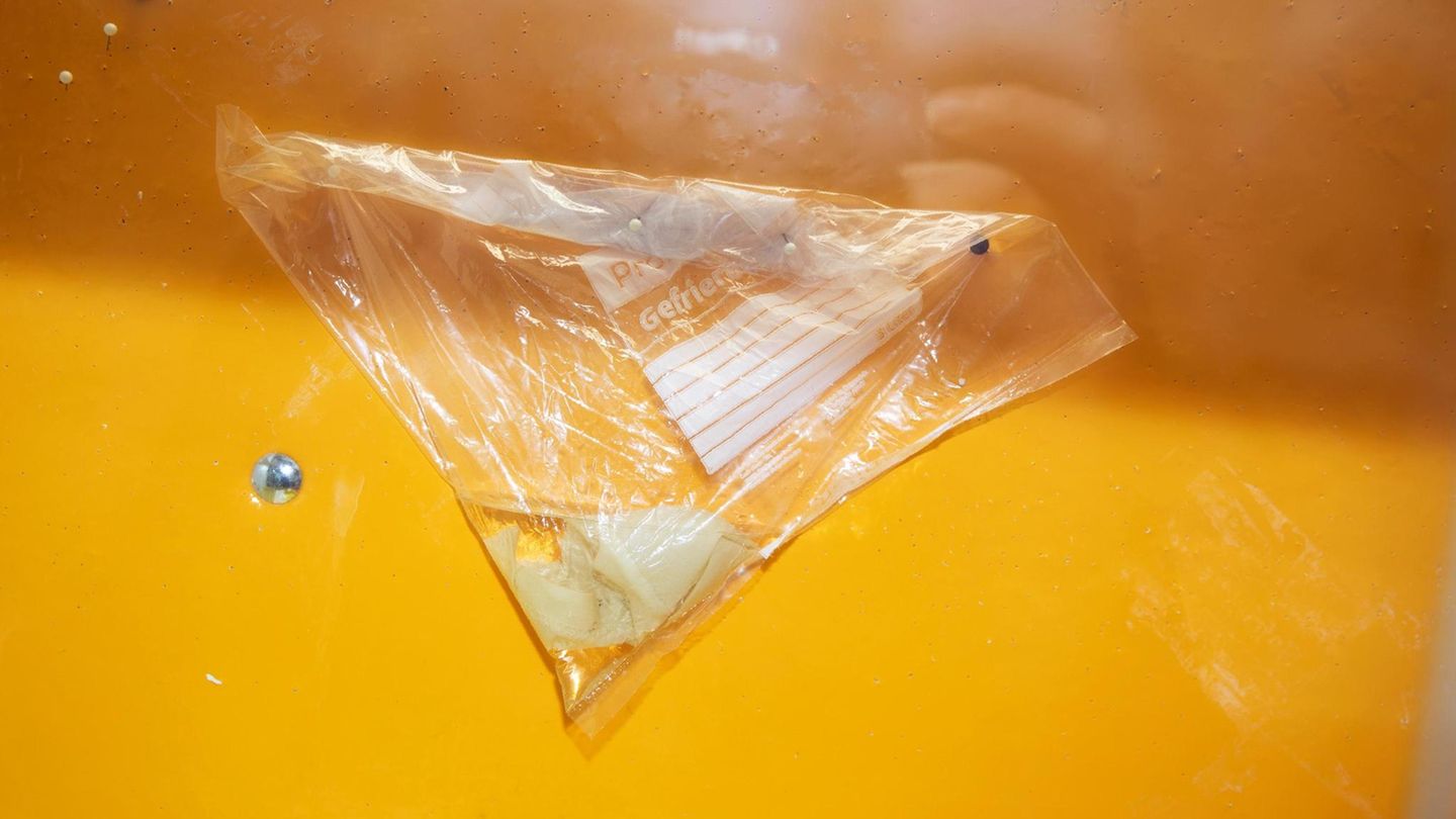 Eine Spezialistin für: Cold-Case-DNA | STERN.de