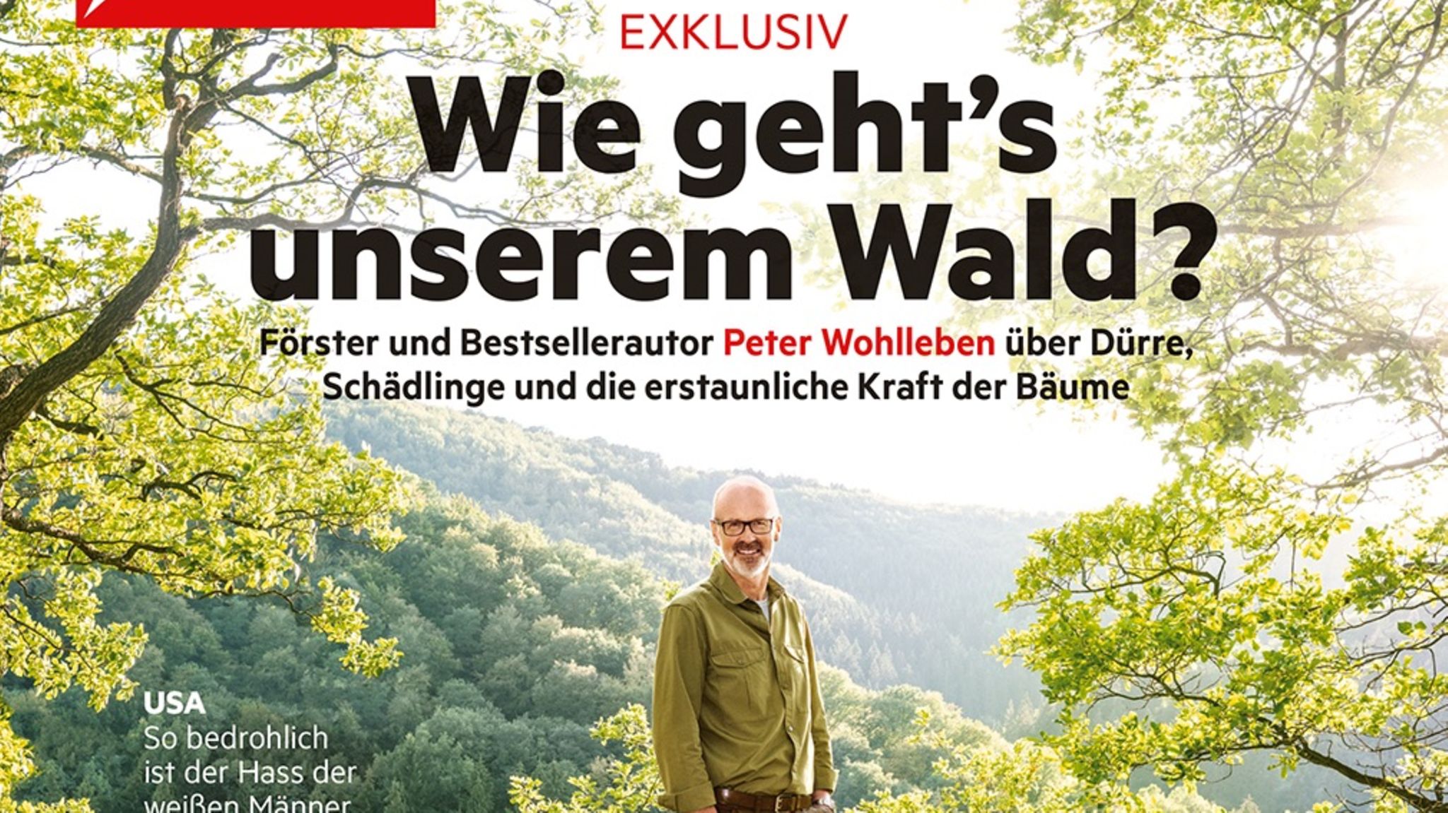 Peter Wohlleben rechnet wegen Zustand der Wälder mit deutschen Förstern ...