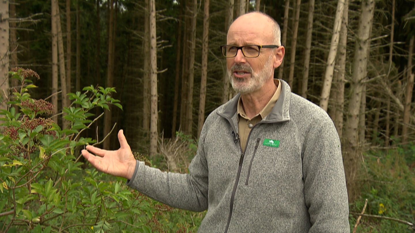 Peter Wohlleben im Interview | STERN.de
