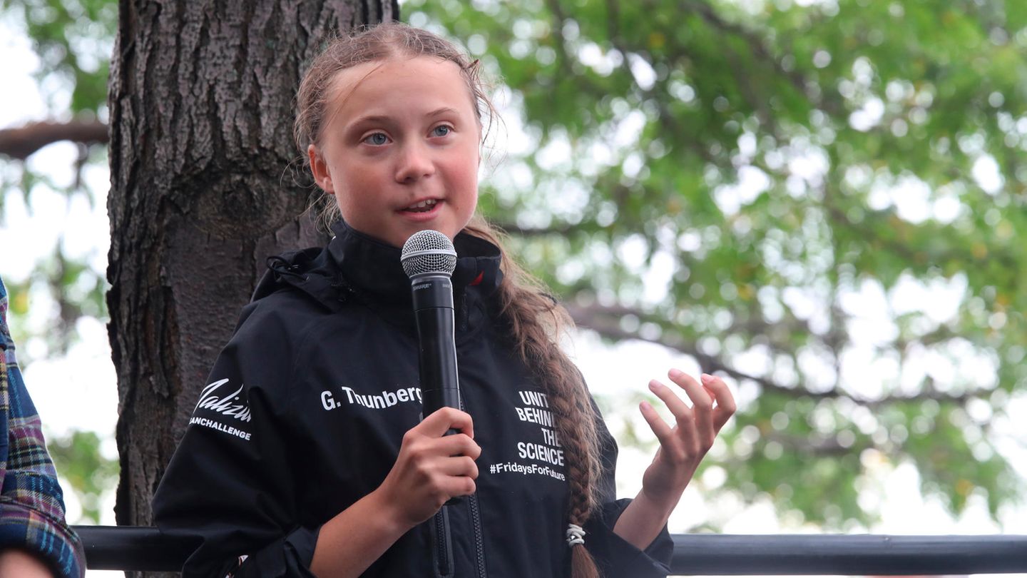 Wie Greta Thunberg der jungen US-Umweltbewegung Hoffnung gibt | STERN.de