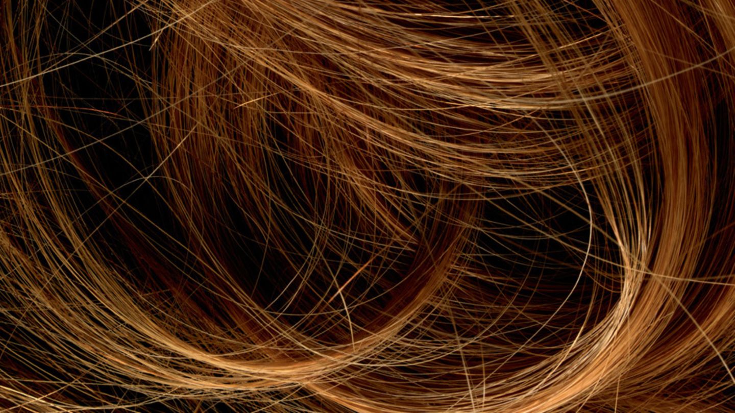 Das Verlangen des Volker Eckert | STERN.de