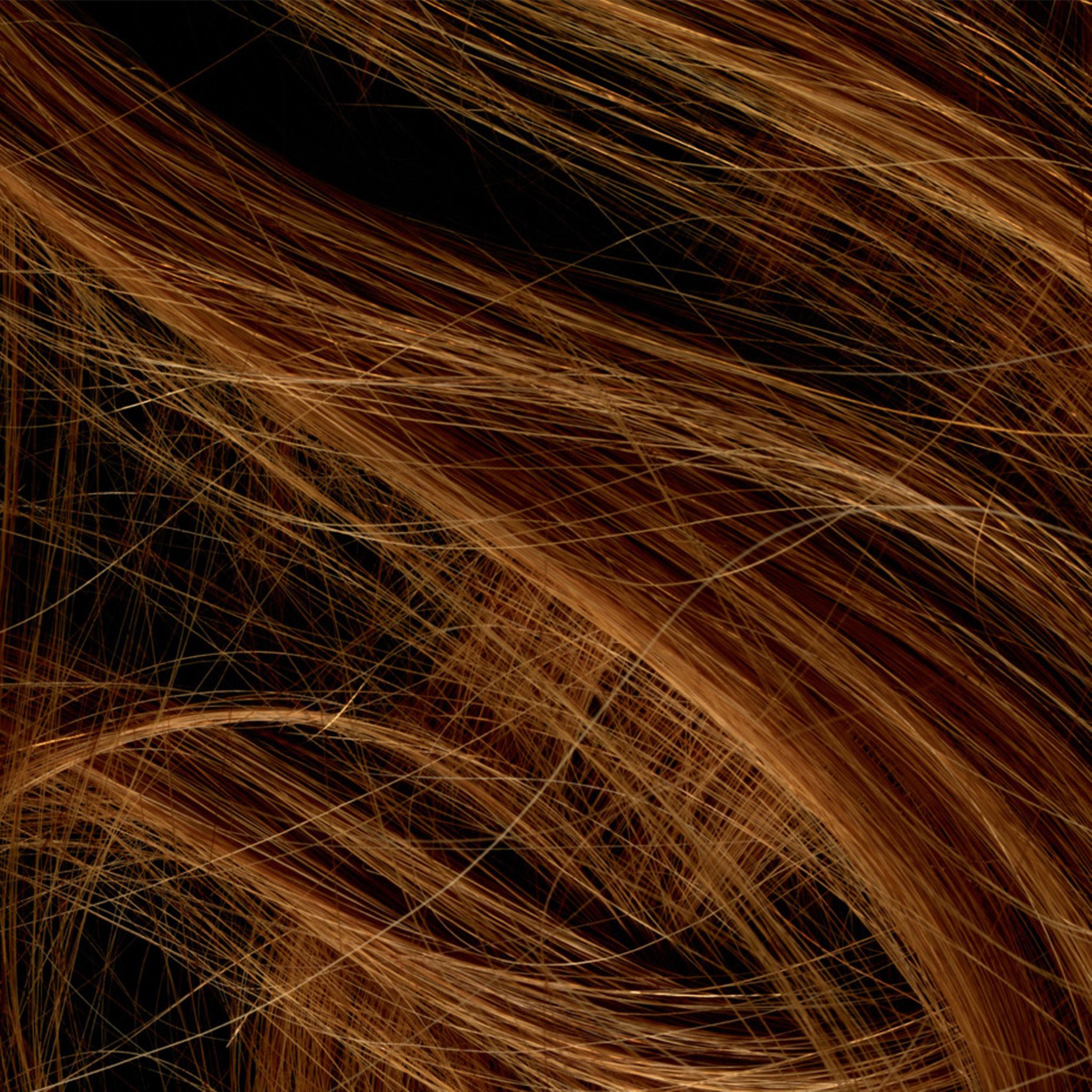 Das Verlangen des Volker Eckert | STERN.de