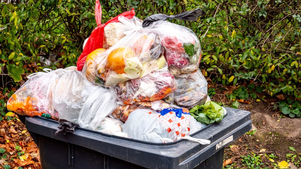 Zehn Dinge, die Sie wahrscheinlich noch nicht über Biomüll wussten ...