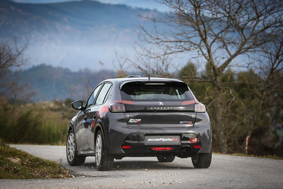 Peugeot 208 Rally 4: Übungsgerät | STERN.de