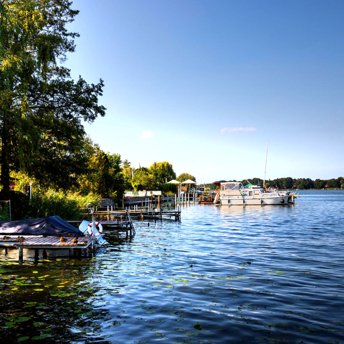 Die Havel ist eines der größten Naturschutzprojekte Europas | STERN.de