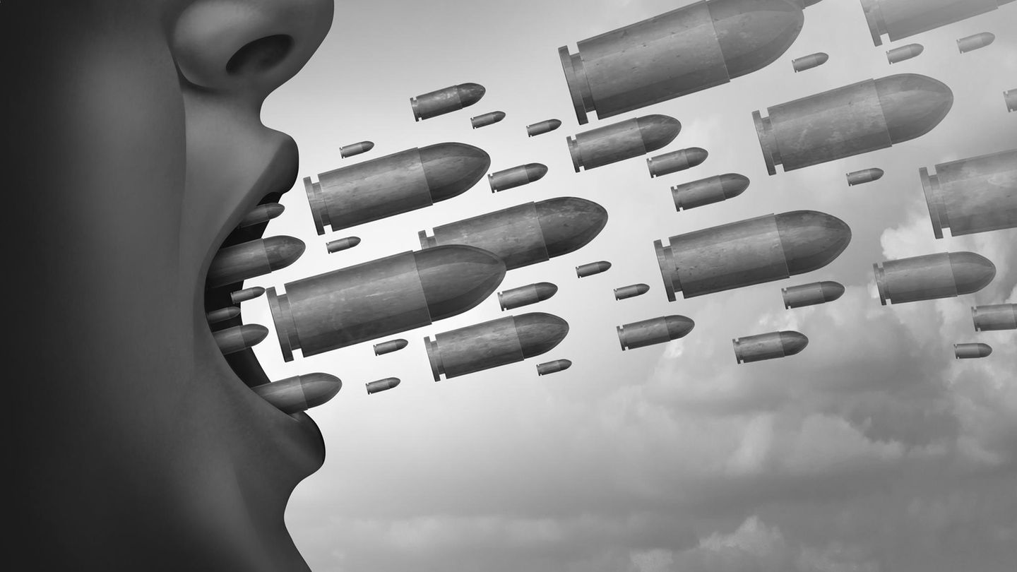 Ein Essay über gefährliche Sprache | STERN.de