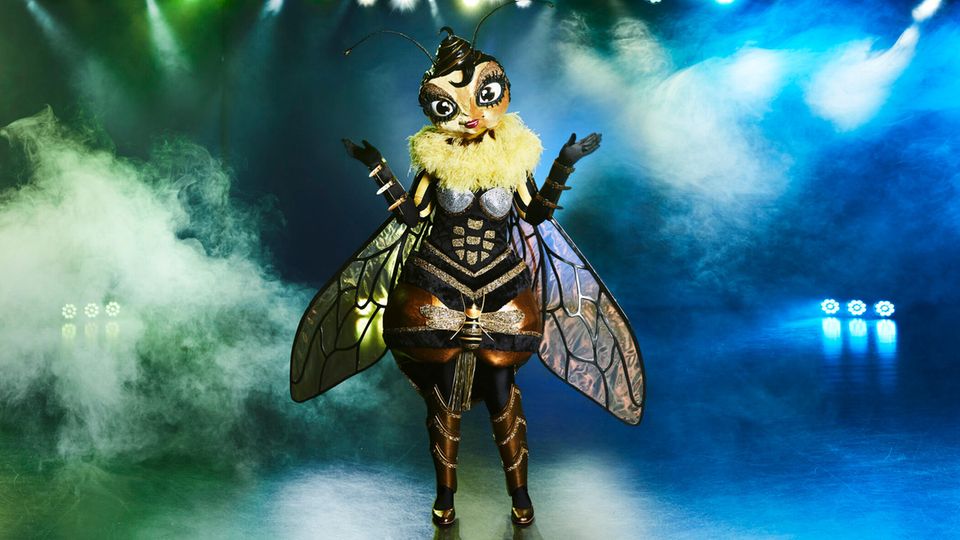The Masked Singer Das Sind Die Kostüme Der Neuen Staffel Stern De