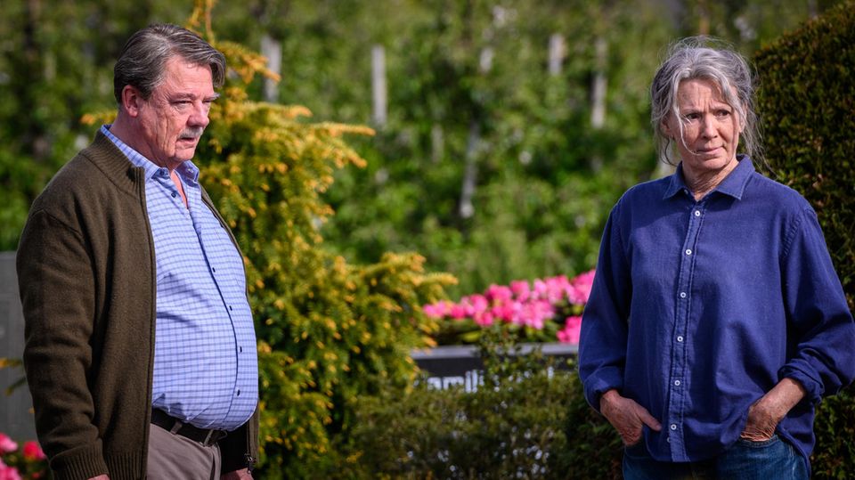 "Altes Land": Dörte Hansens Bestseller als Zweiteiler | STERN.de